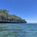 La Romana: Saona Island Tour with Lunch for Mein Schiff - What Makes This Tour Special?