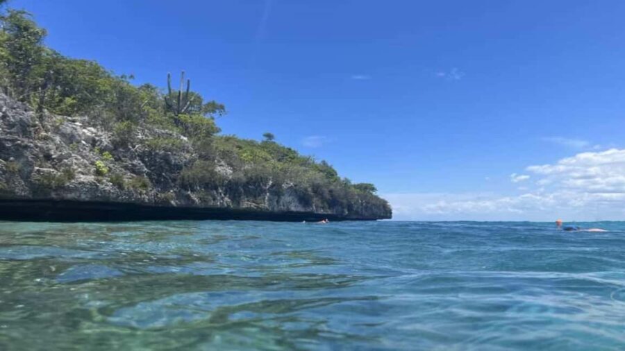 La Romana: Saona Island Tour with Lunch for Mein Schiff - What Makes This Tour Special?