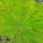 Labuan Bajo: Exploring Wae Rebo Village 2-Day Tour - The Itinerary in Detail