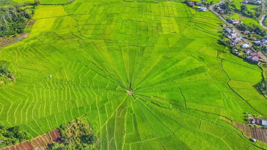 Labuan Bajo: Exploring Wae Rebo Village 2-Day Tour - The Itinerary in Detail