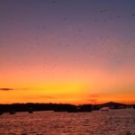 LABUAN BAJO: Komodo Shared Tour With Speed Boat - Practical Details: Cost, Timing, and Group Size