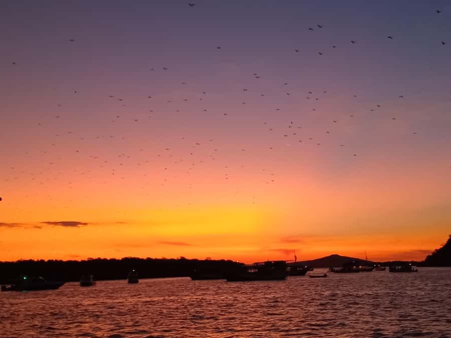 LABUAN BAJO: Komodo Shared Tour With Speed Boat - Practical Details: Cost, Timing, and Group Size