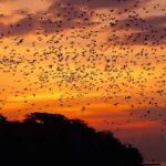 Labuan Bajo Sunset Trip  Explore 3 Destinations - Who Is This Tour Best For?