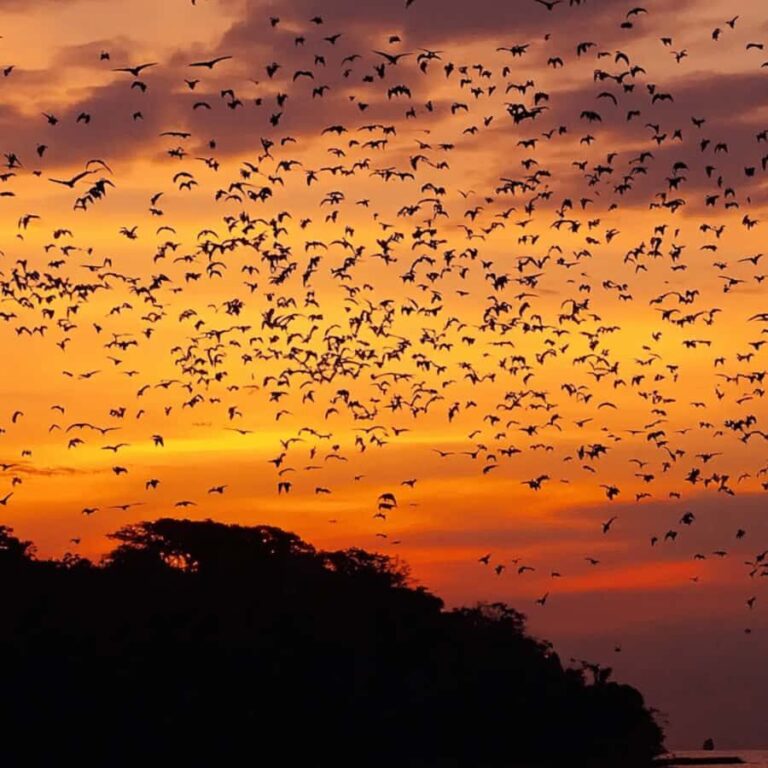 Labuan Bajo Sunset Trip  Explore 3 Destinations - Who Is This Tour Best For?