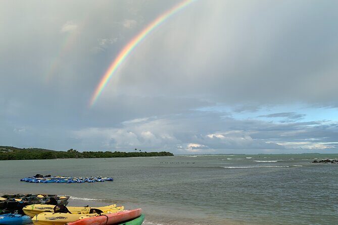 Laguna Grande Night Kayaking Bio Bay - Details That Matter