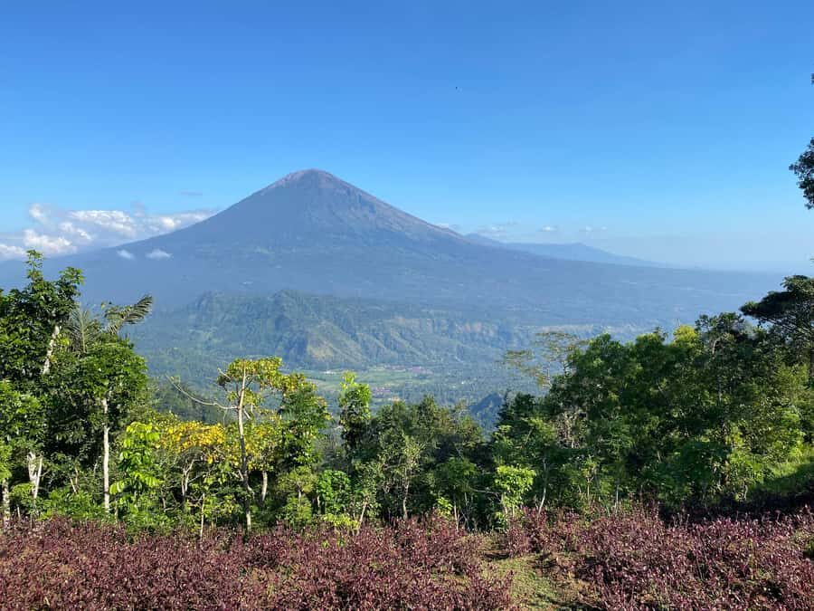 Lahangan Sweet, Tirta Gangga & Virgin Beach - Lahangan Sweet: A Hilltop Viewpoint