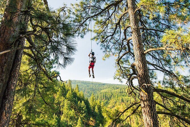 Lake Coeur d'Alene Zipline Tour - The Experience: From Start to Finish