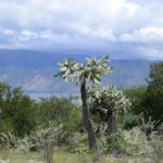 Lake Enriquillo - Final Thoughts: Is This Tour Right for You?
