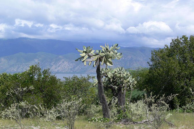 Lake Enriquillo - Final Thoughts: Is This Tour Right for You?
