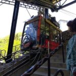 Lake Kawaguchi, Fuji Oishi Hana Terrace Guided Tour - The Value Proposition