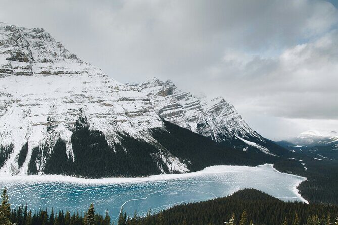Lake Louise Peyto Lake Bow Lake Crowfoot Glacier Half Day Tour - Who Should Consider This Tour?