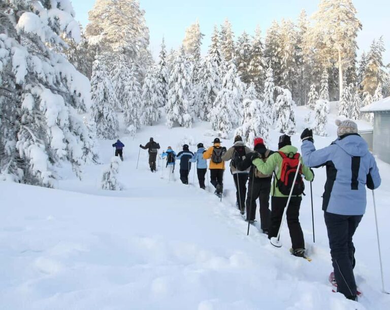 Lake Tahoe: Scenic Snowshoe Tour in a Winter Wonderland - What the Reviews Say