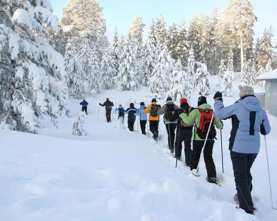 Lake Tahoe: Scenic Snowshoe Tour in a Winter Wonderland - What the Reviews Say