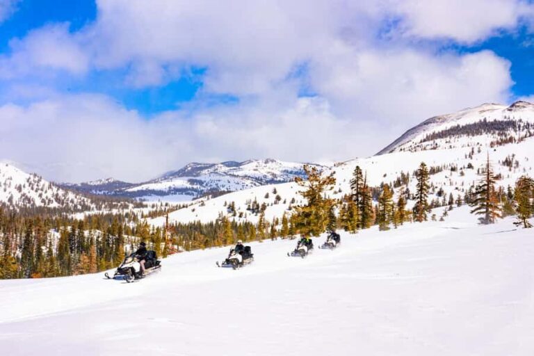 Lake Tahoe: Summit Snowmobile Tour with Scenic Views - Guides and Safety: What Sets This Tour Apart