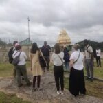 Lalbagh Garden Afternoon Walk + VV Puram Evening Food Street Walk - Pricing and Value: Does the Tour Offer a Good Deal?