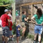 Lamont: North Florida Wildlife Center Guided Tour - What’s Included and Practical Details