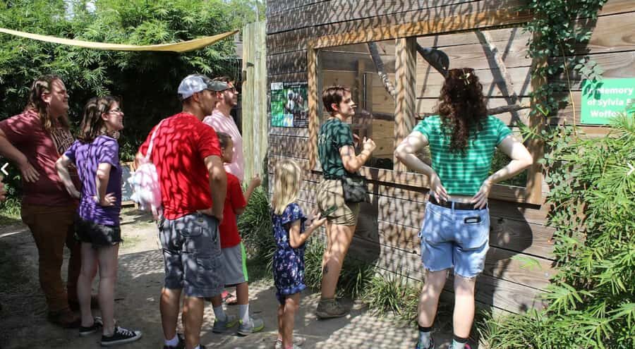 Lamont: North Florida Wildlife Center Guided Tour - What’s Included and Practical Details