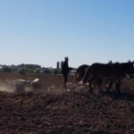 Lancaster: Amish Farmlands Guided Tour - The Sum Up