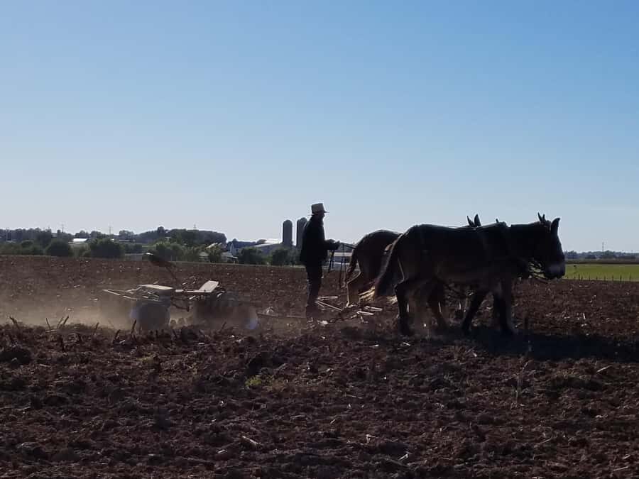 Lancaster: Amish Farmlands Guided Tour - The Sum Up
