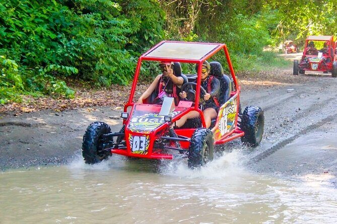 Land of Monkeys Plus ATV 4x4 Buggies Adventure in Puerto Plata - Authenticity and Value