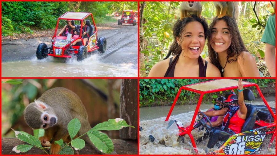 Land of Monkeys Plus ATV Buggies Adventure in Puerto Plata - Practical Details and What You Should Know
