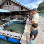Langkawi: Mangrove 2Hour Private with Lunch - Value and Overall Impression