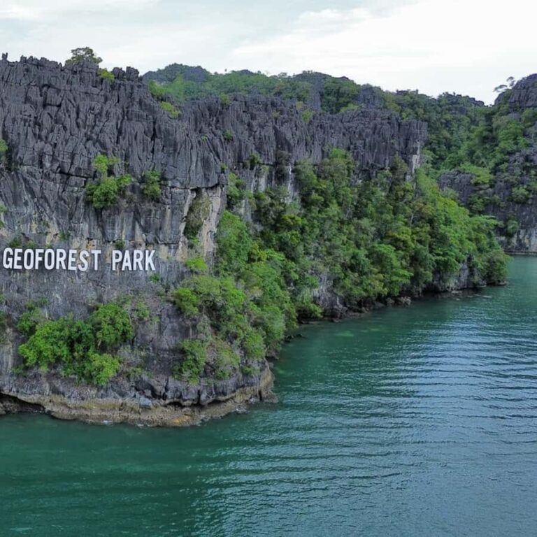 Langkawi: Mangrove Forest Boat Tour with Eagle Watching - What Makes This Tour Stand Out?