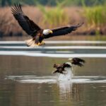 Langkawi: Mangrove Sharing Boat include Lunch & Beach - Who Should Consider This Tour?