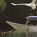 Langkawi Tour B - Land Tour & Tanjung Rhu Mangrove Tour - Who Will Love This Tour?