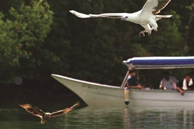 Langkawi Tour B - Land Tour & Tanjung Rhu Mangrove Tour - Who Will Love This Tour?