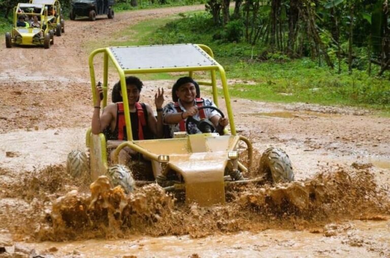 Las Terrenas: Buggy Adventure with Beach and River Swim - Driving the Buggies: What to Expect