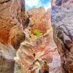 Las Vegas: Arizona Hot Springs Hike with Certified Hiking Guide - What Makes This Tour Stand Out?