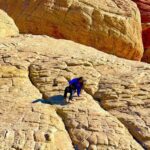 Las Vegas: Private Red Rock Canyon Guided Driving Adventure - The Value of the Experience