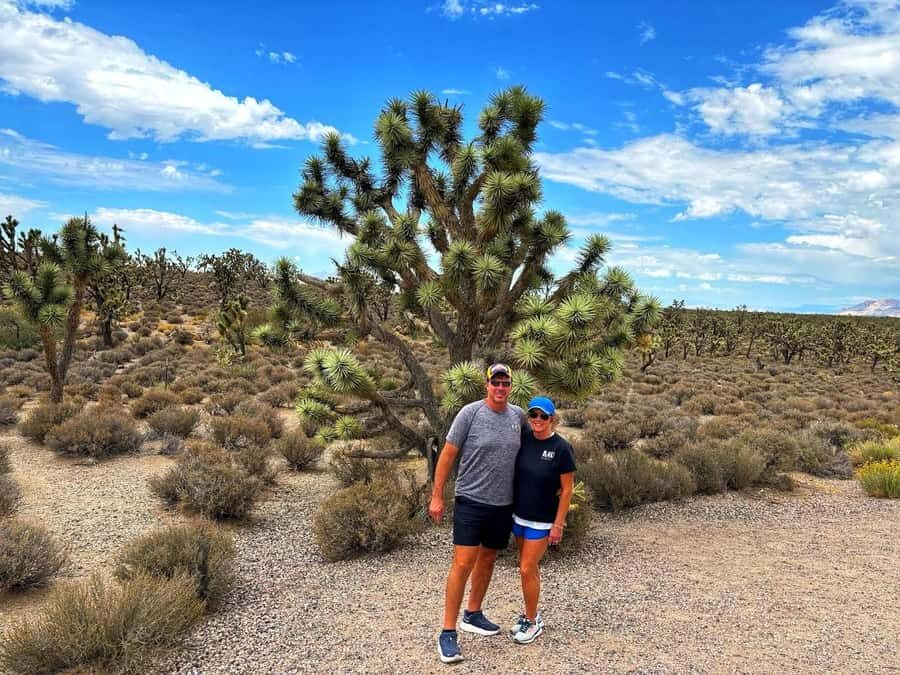 Las Vegas to Los Angeles One Way Tour via Joshua Tree NP - What to Expect When You Book