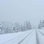 Las Vegas: Ultimate Snowplay Adventure at Mount Charleston - Authentic Feedback from Participants