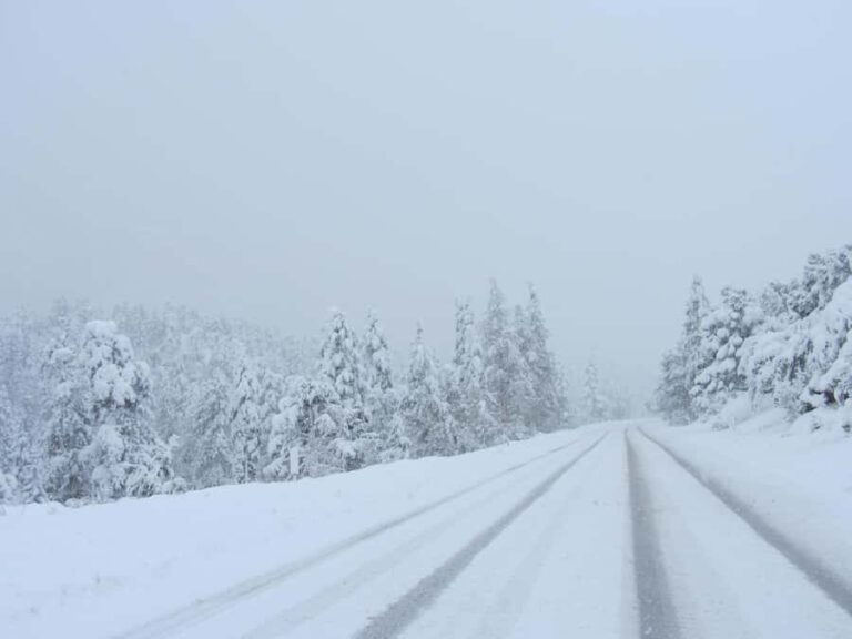 Las Vegas: Ultimate Snowplay Adventure at Mount Charleston - Authentic Feedback from Participants