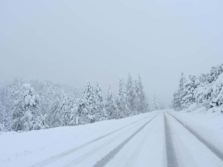 Las Vegas: Ultimate Snowplay Adventure at Mount Charleston - Authentic Feedback from Participants