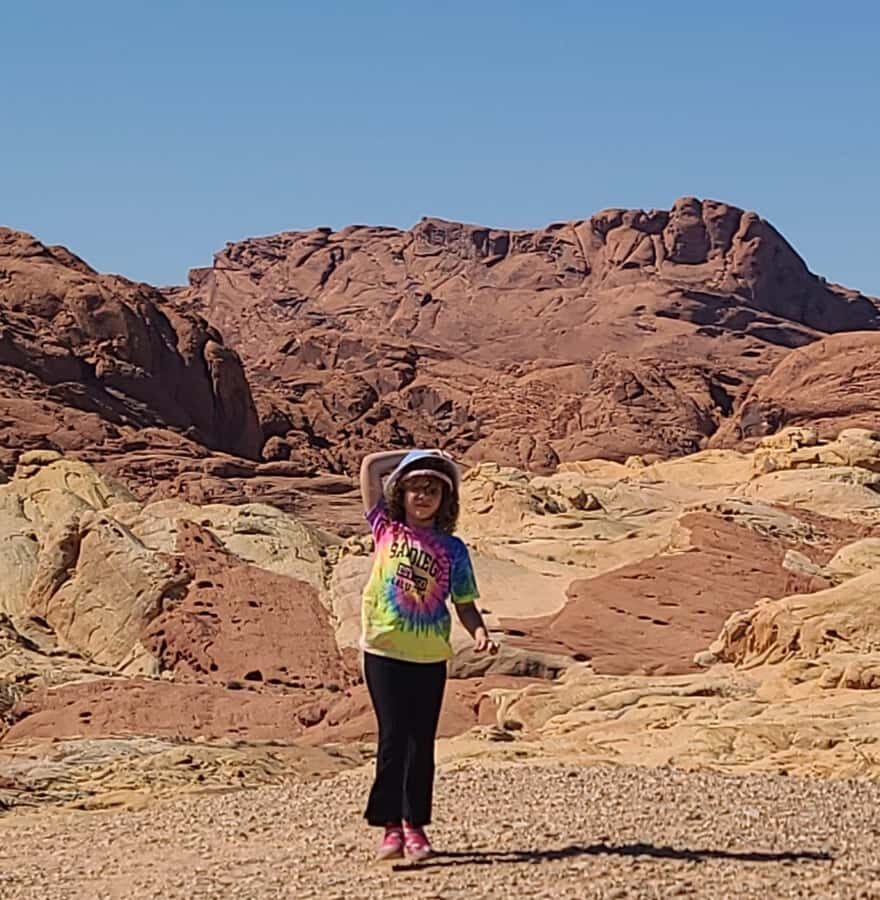 Las Vegas: Valley of Fire and Red Rock Canyon Tour - What Travelers Say