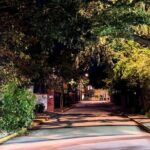 Last Stand Walkabout Tour - Who Should Consider This Tour?