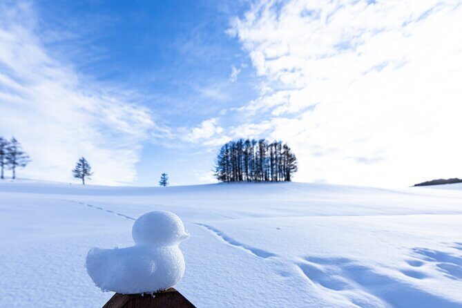 [Late Departure] Biei Best 5 Must-Visit Day Tour from Sapporo - Overall Value and Experience