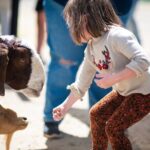 Lavender Farm U-Pick Day Pass - The Logistics and Practicalities