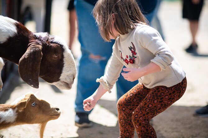 Lavender Farm U-Pick Day Pass - The Logistics and Practicalities