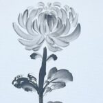 Learn Traditional Sumi-e Painting at Tokyo Art Workshop - Who Will Love This Experience?