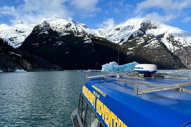 LeConte Glacier Tour and Norwegian Town Exploration - Who Would Enjoy This Tour Most?