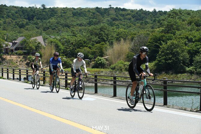 Leisure Cycling Tour Around Mt. Fuji's Five Lakes - Practical Details and What They Mean for You