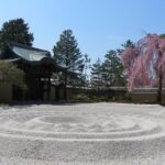 Leisurely Kyoto Half Day Walking Tour - What Makes This Tour Stand Out?
