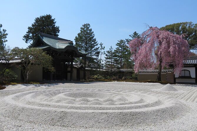 Leisurely Kyoto Half Day Walking Tour - What Makes This Tour Stand Out?