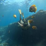 Lembongan: Manta Bay, Turtle Bay, & Gamat Bay Snorkeling - The Practical Details