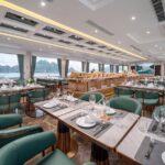 Leona Cruise 5 Star Day Ship in the Wonder of Ha Long - Practical Tips for Your Day Trip
