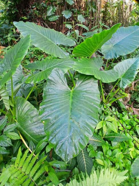 Lethe Mountain Valley Hiking - The Itinerary: What to Expect